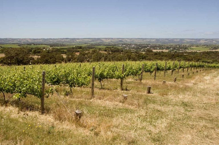 Our Vineyards – Paxton Wines