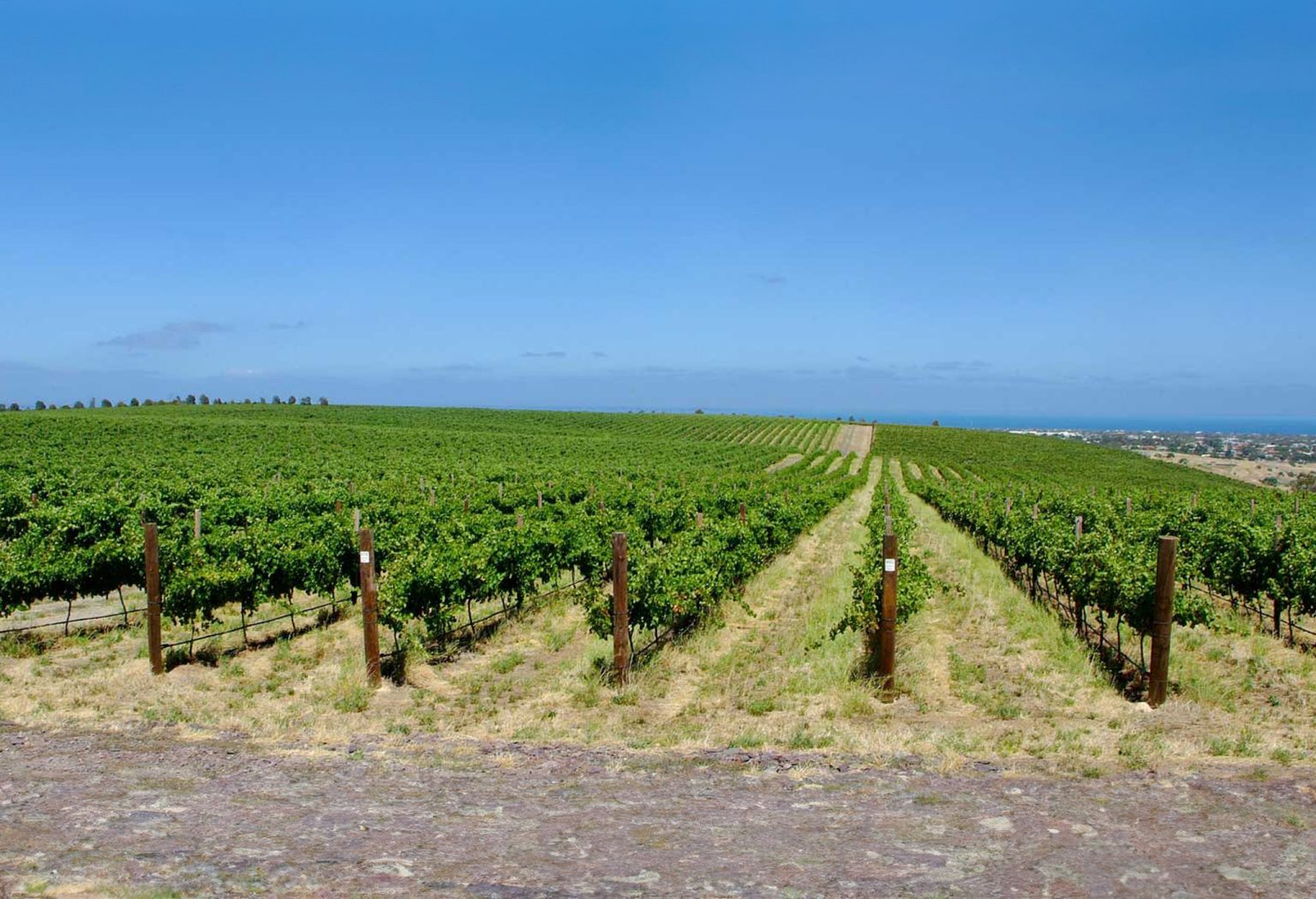 Our Vineyards – Paxton Wines