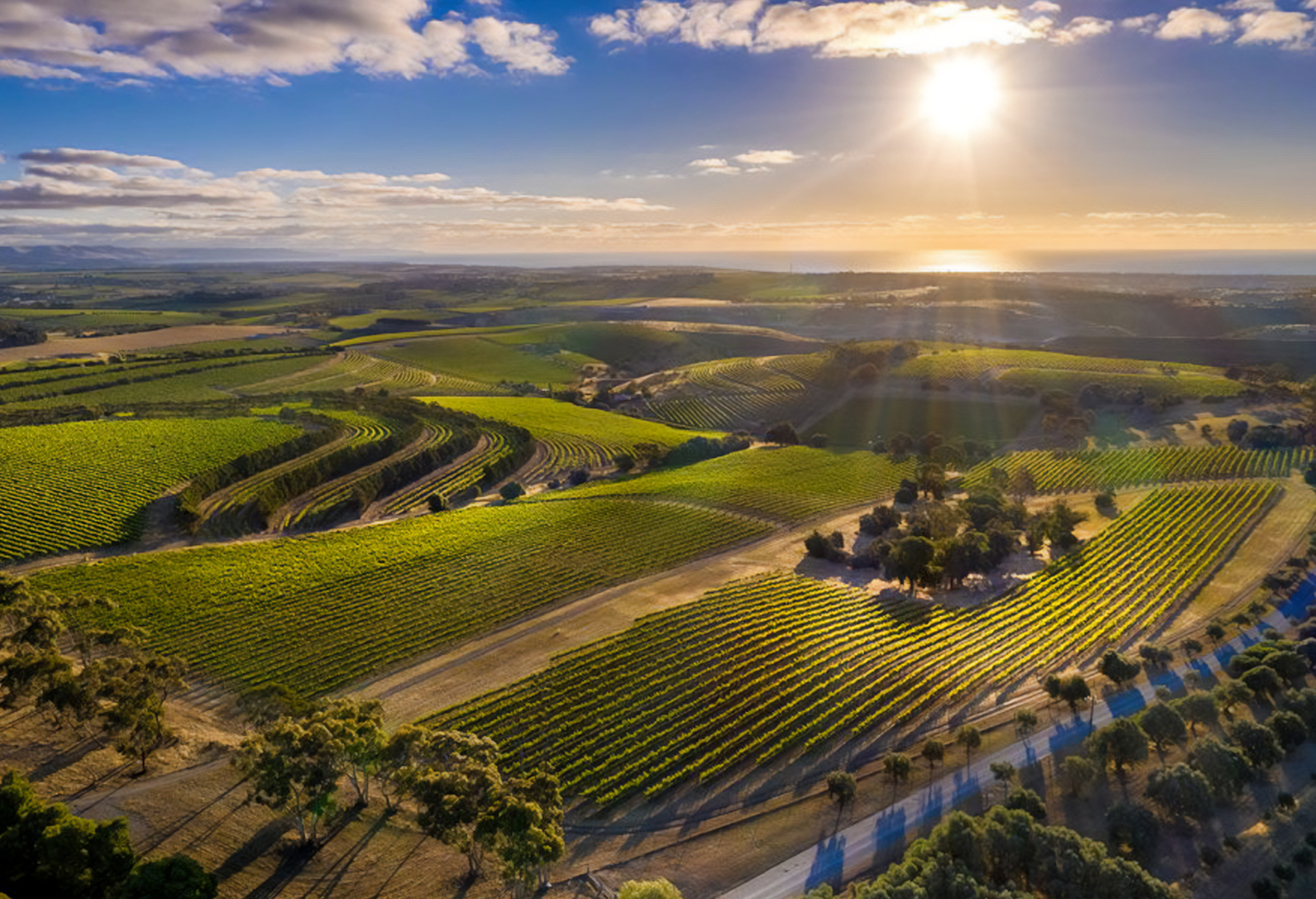 Our Vineyards – Paxton Wines